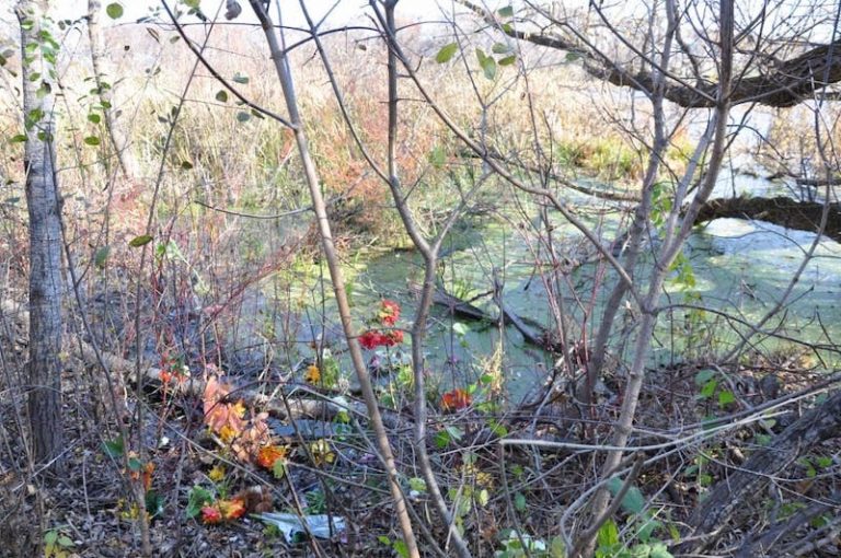 Henry McCabe Disturbing Voicemail And Tragic Death Explained