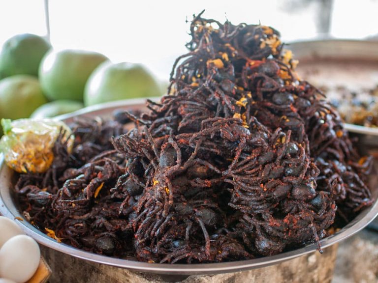 53 Bizarre Foods From Around the World That People Actually Eat